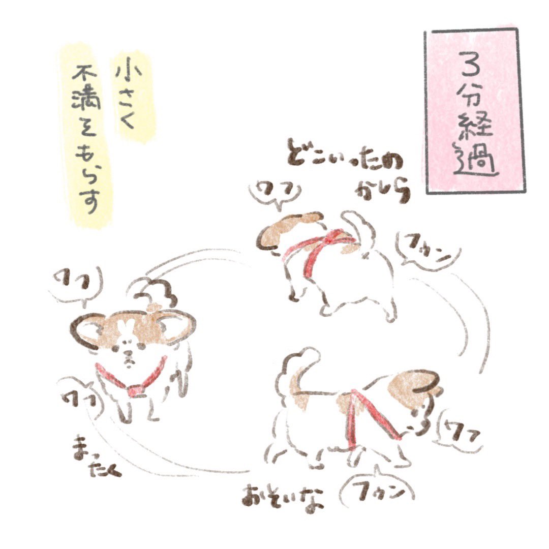 noco (@noco_create) | Twitter