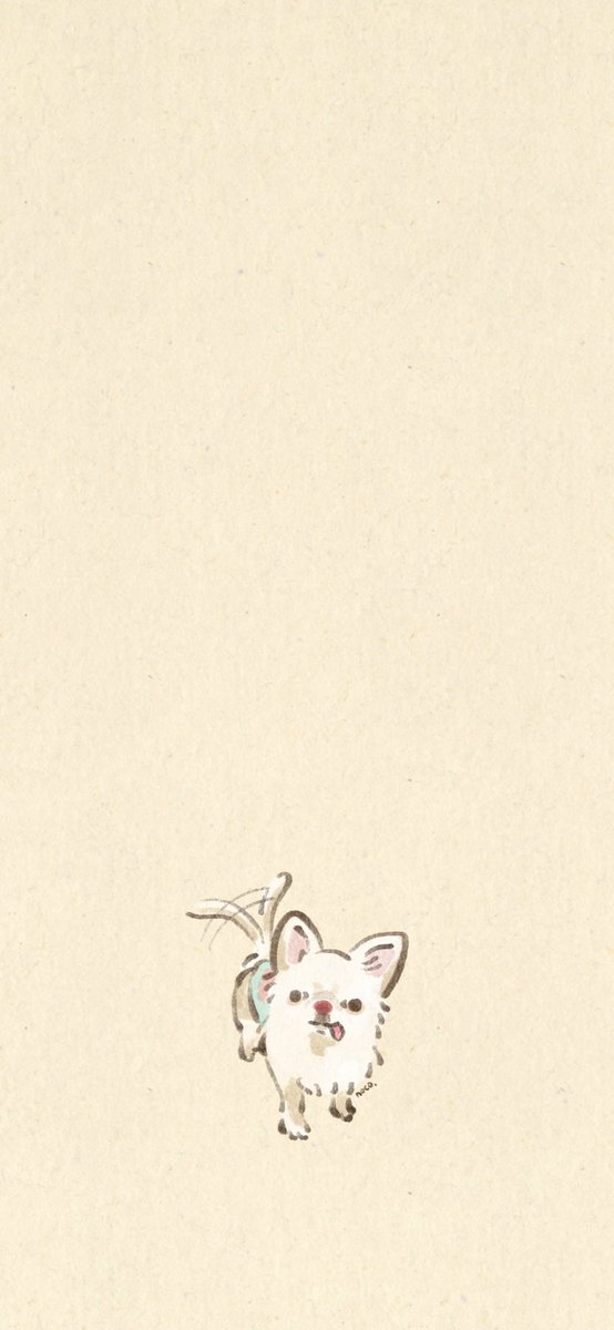 noco (@noco_create) | Twitter