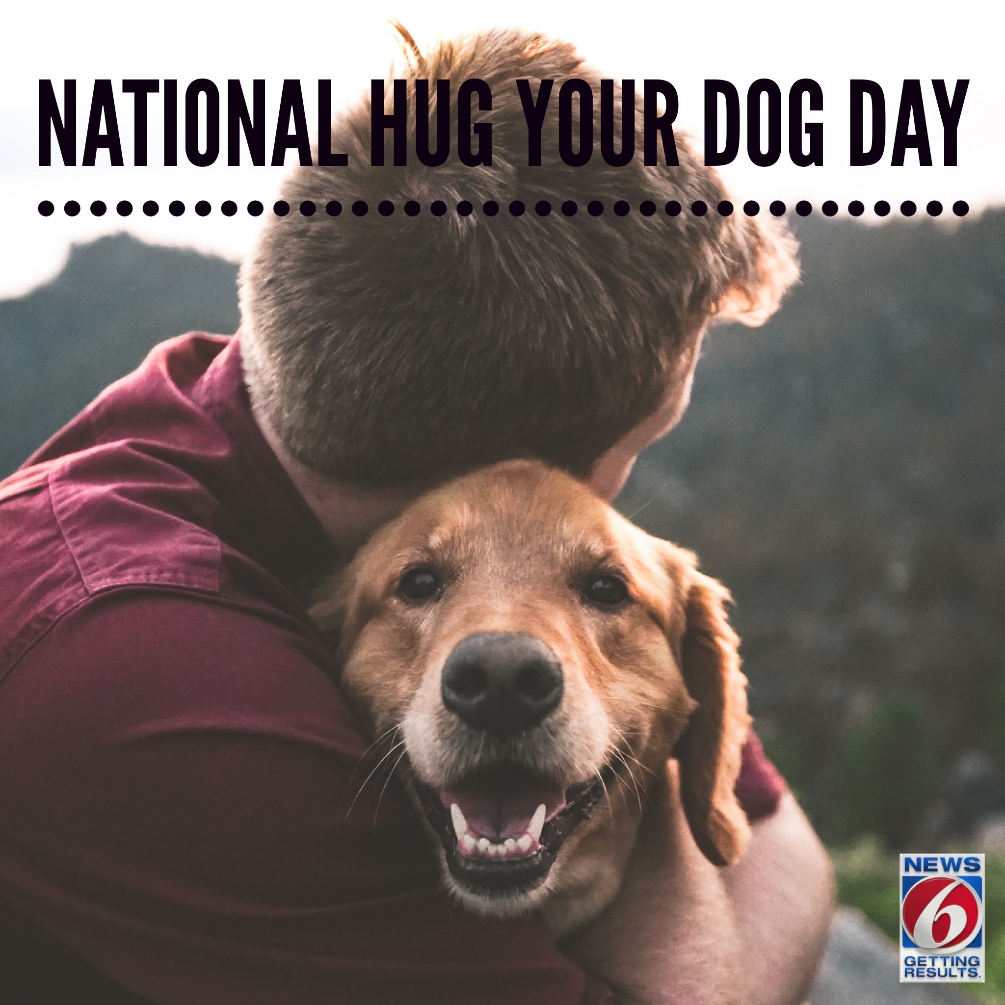 What Happens When You Hug Your Dog