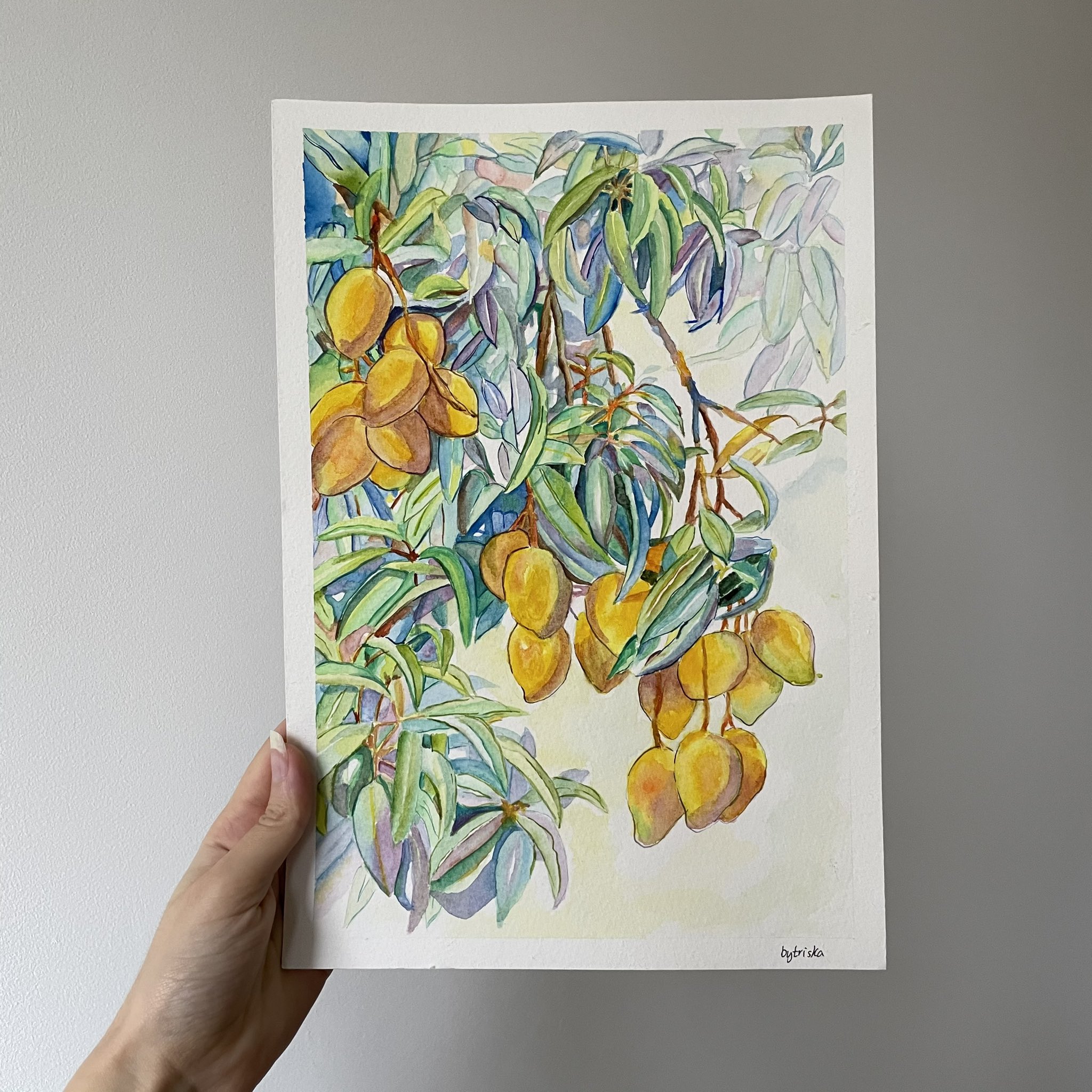 Mango Tree Pencil Drawing