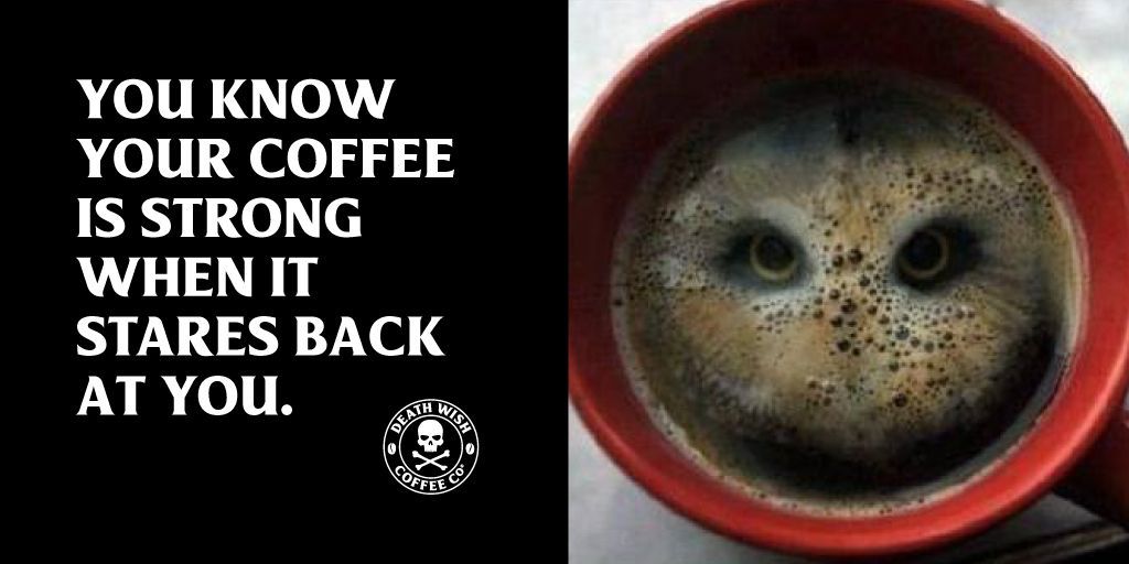 Owl Meme Coffee