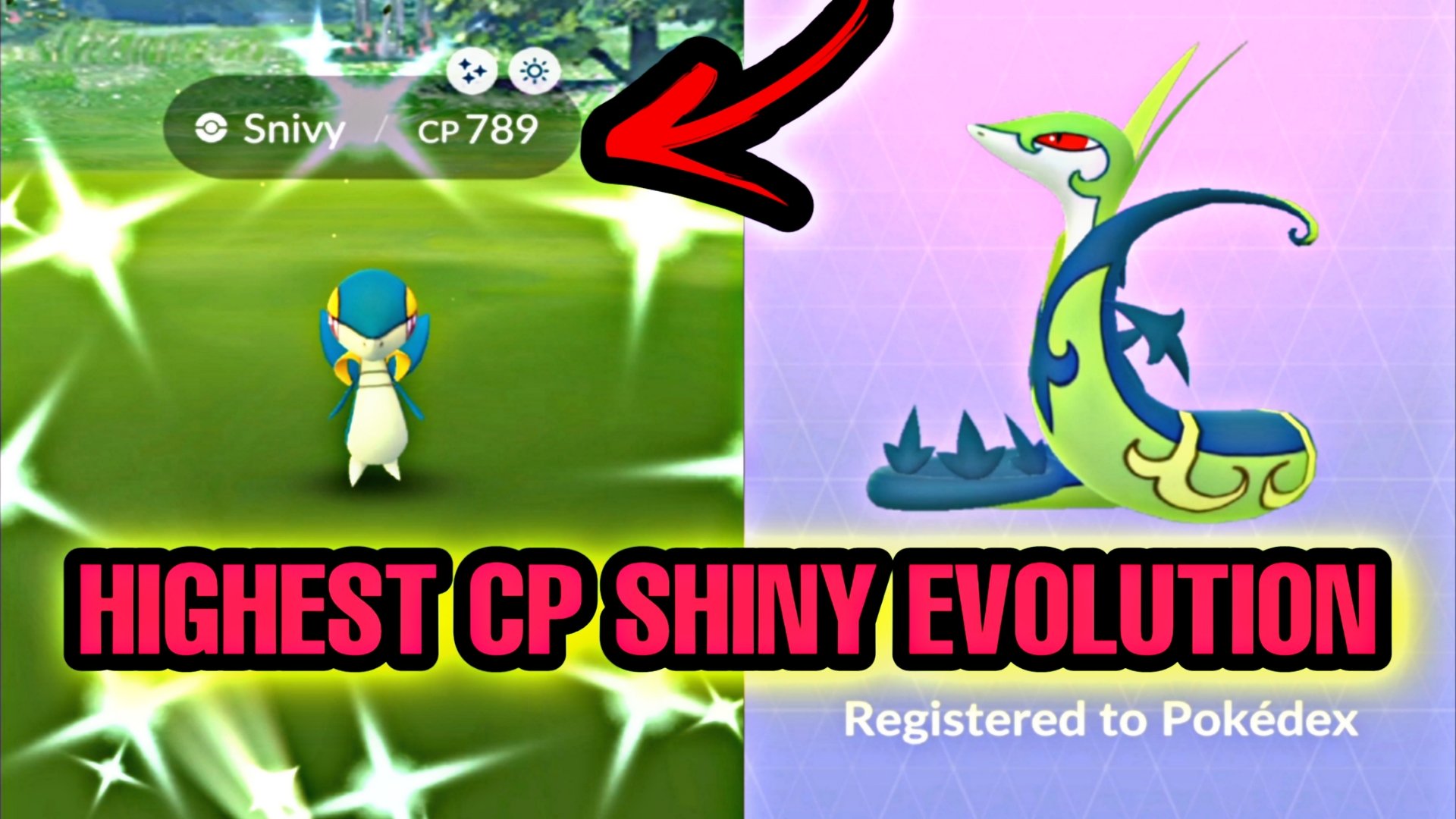 Snivy Evolution Wallpaper