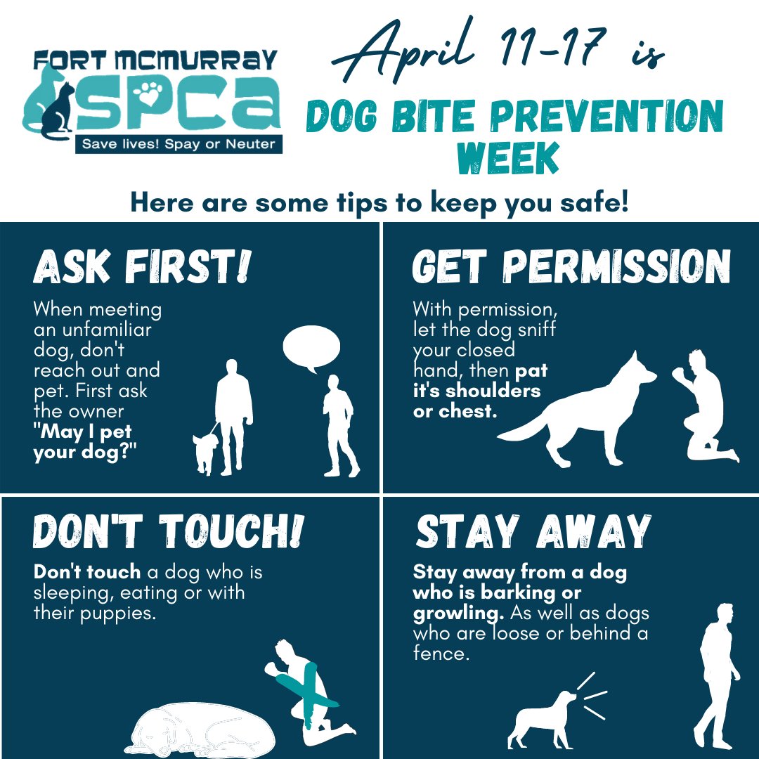 Dog Bite Prevention Poster