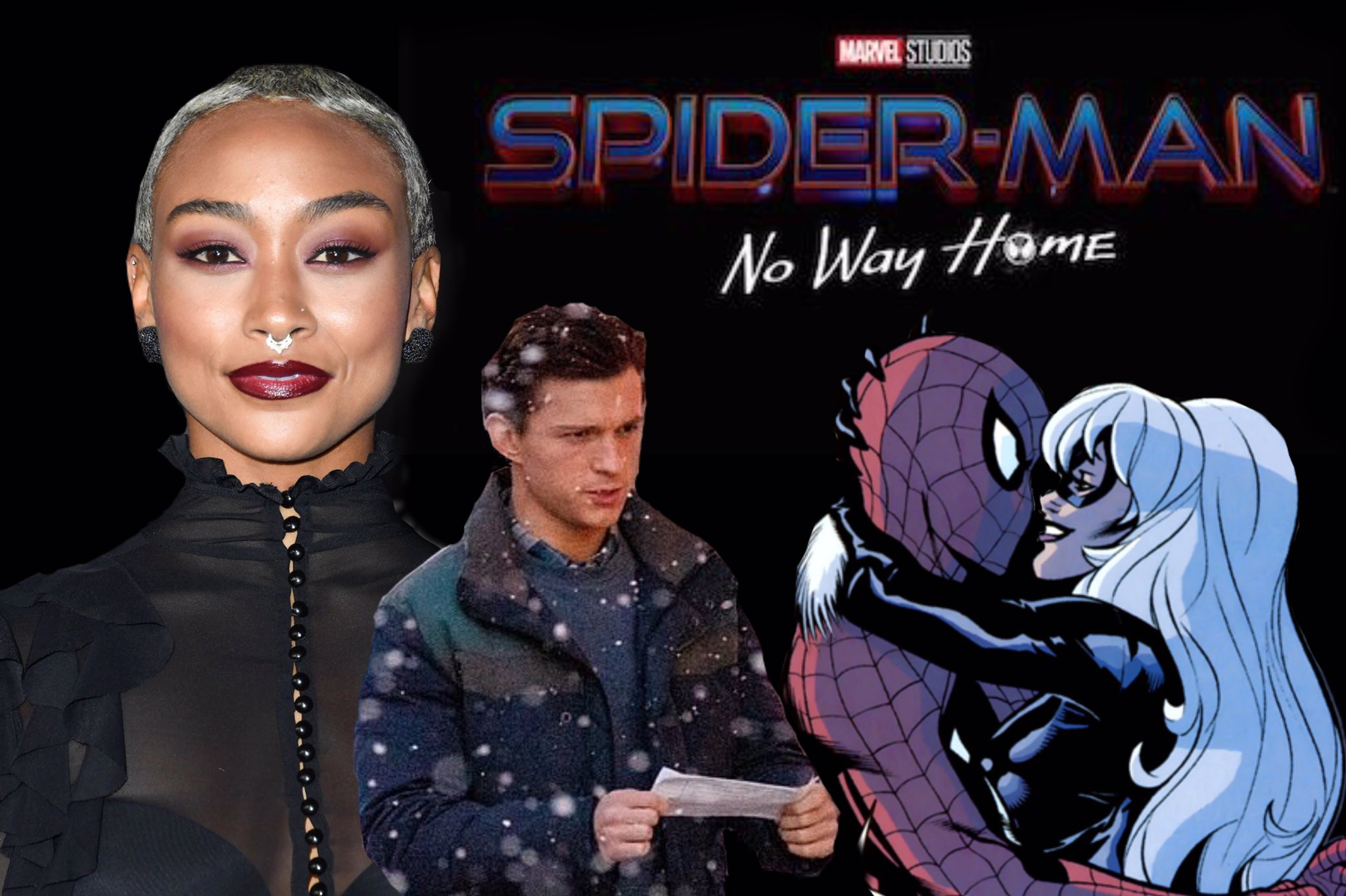 Felicia Hardy Spider Man 2