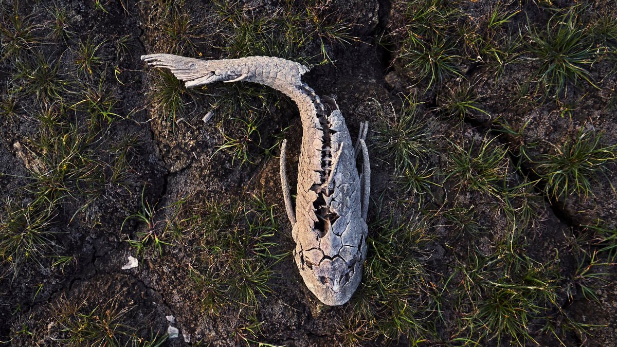 News & Events - Capitals Coalition