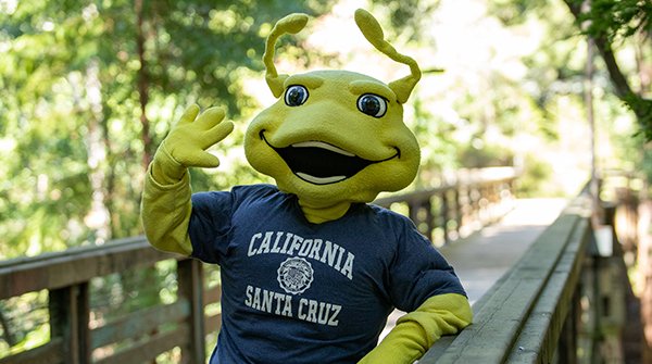 Ucsc Mascot