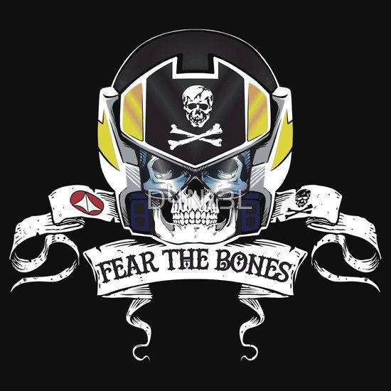 Robotech Skull Squadron