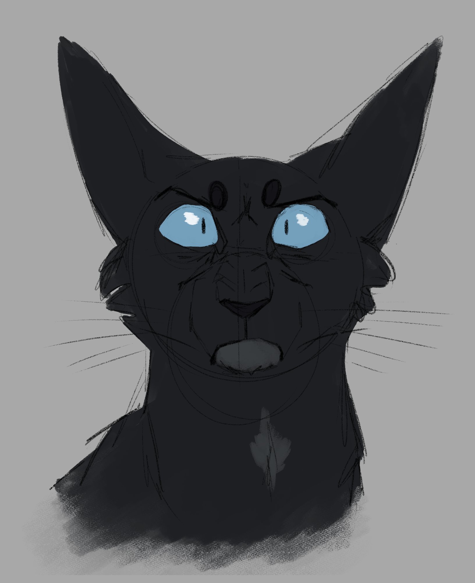 Crowfeather Warrior Cats