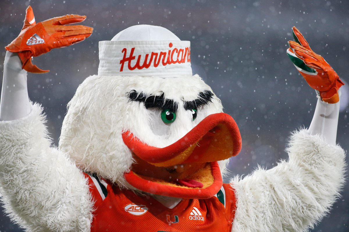 Sebastian The Ibis Pipe