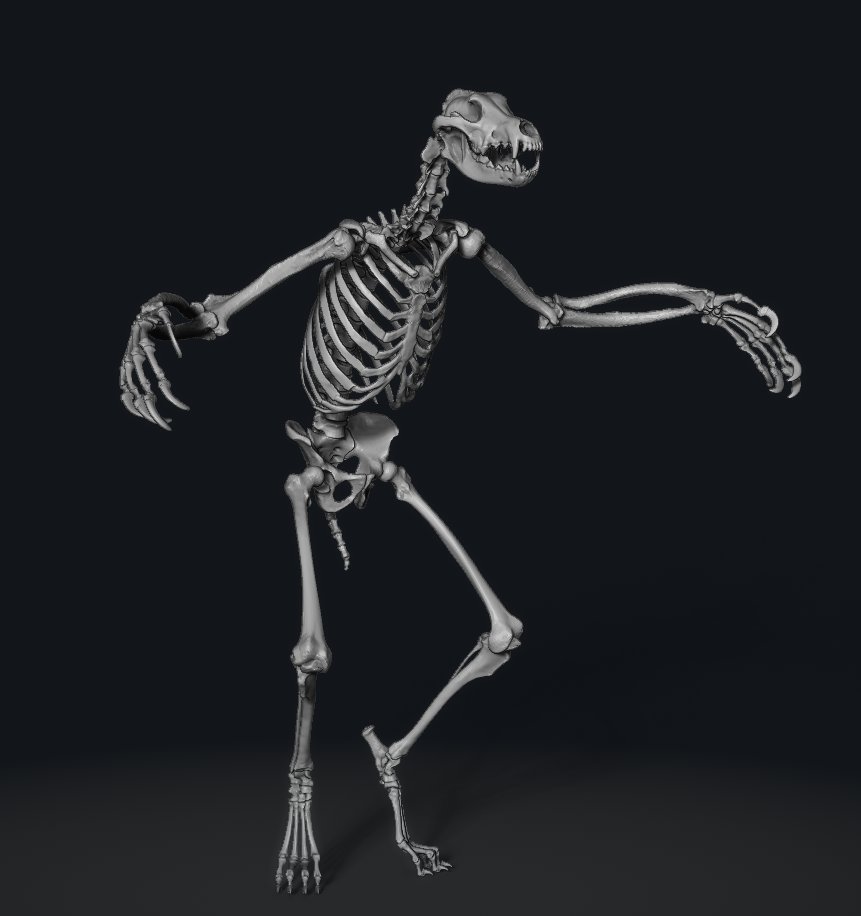 Werewolf Skeleton