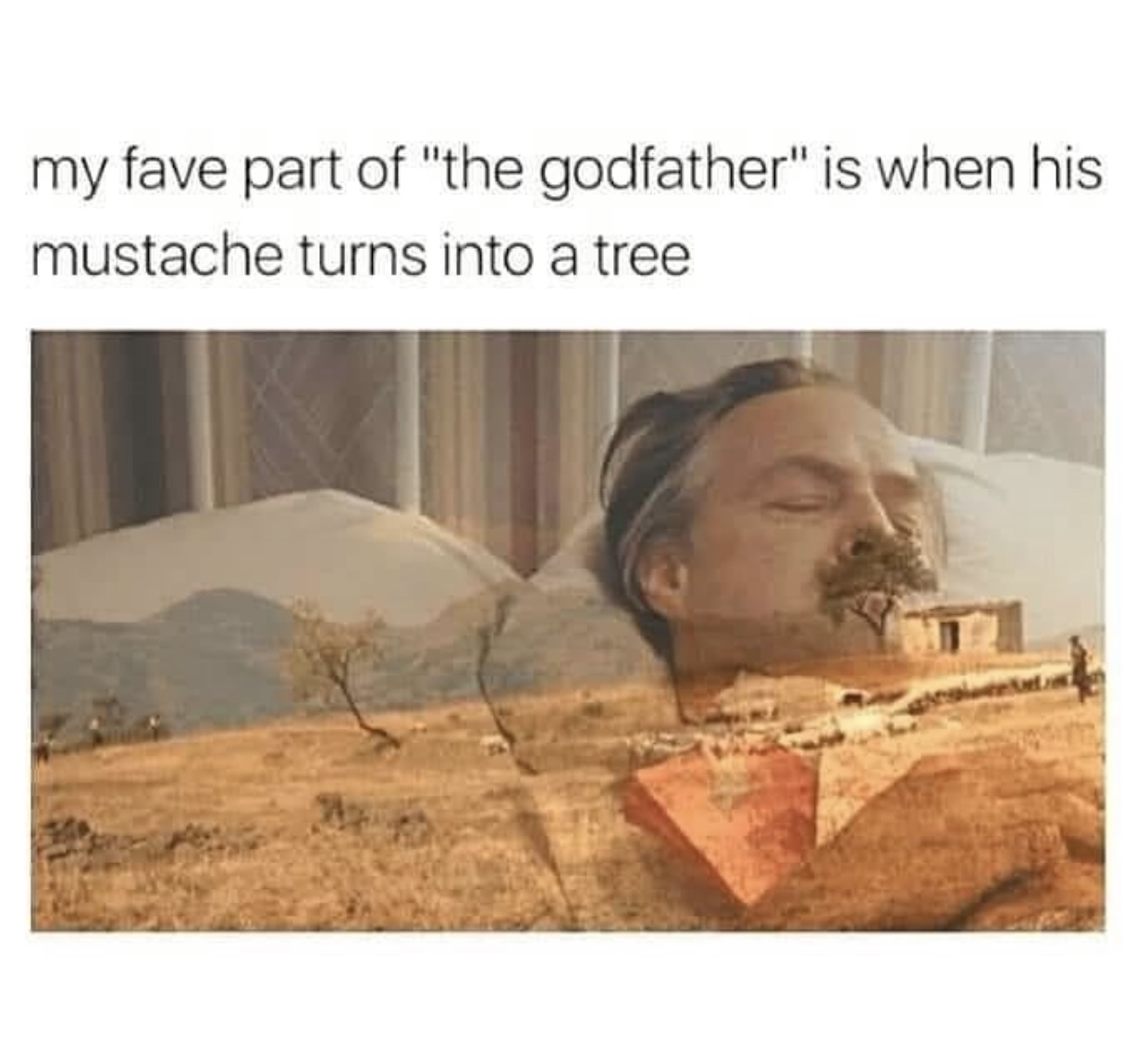 Godfather Meme