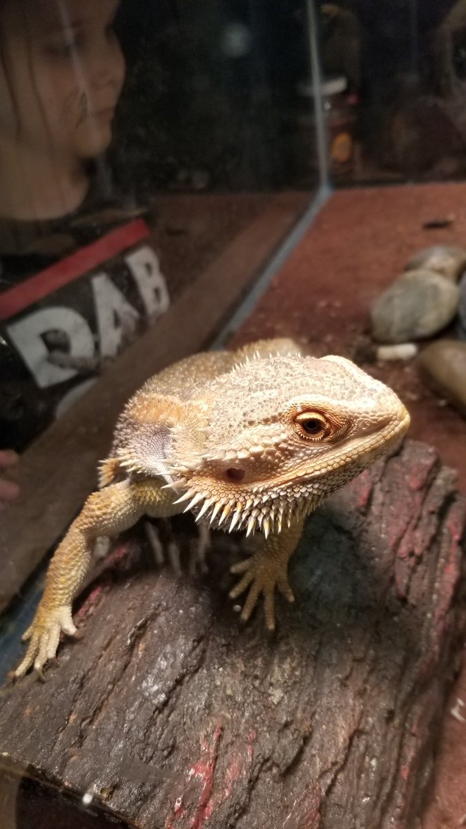 Cryptonaut (@crypt0naughty) | Twitter