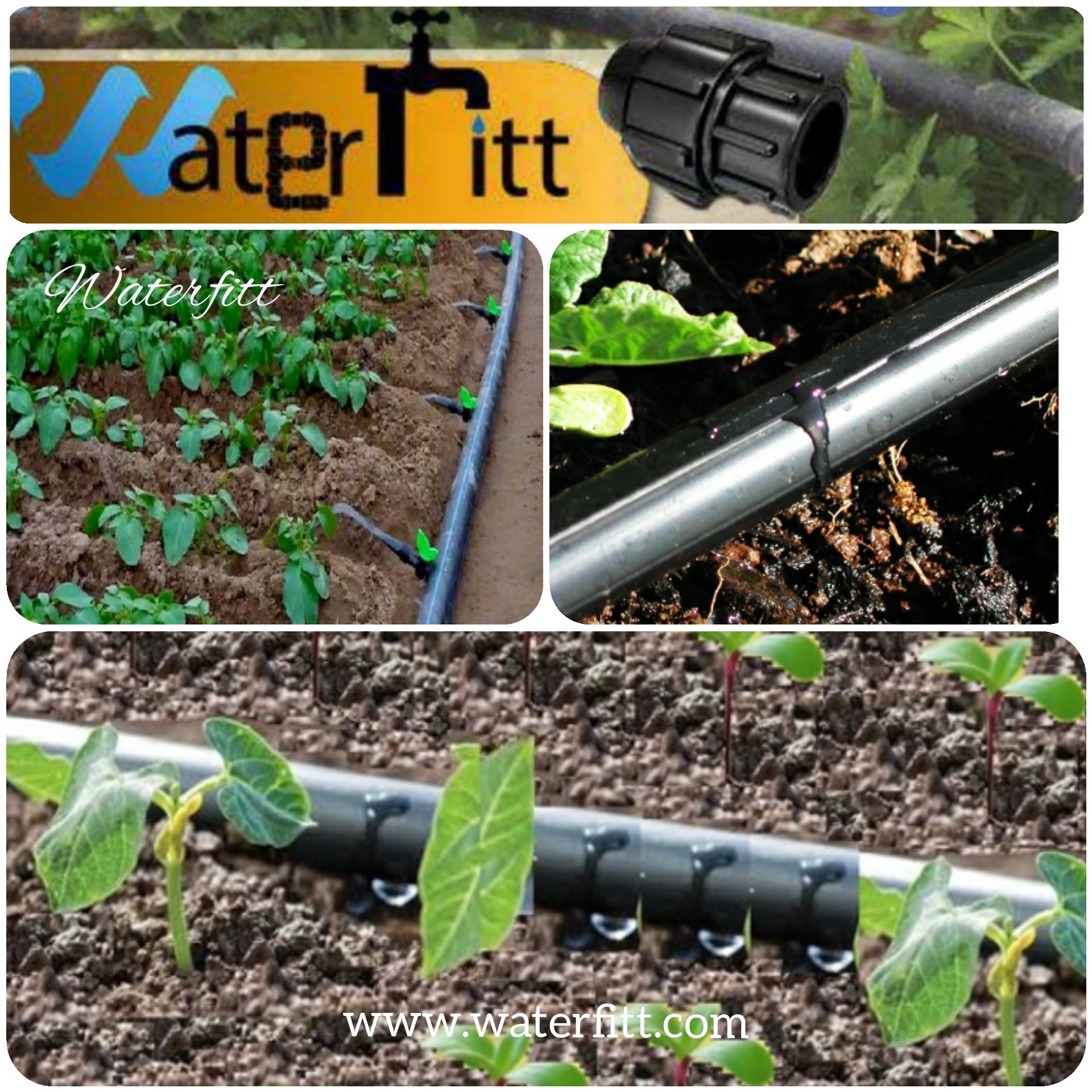 Comparing The Efficiency Of Irrigation Systems Surface Irrigation An