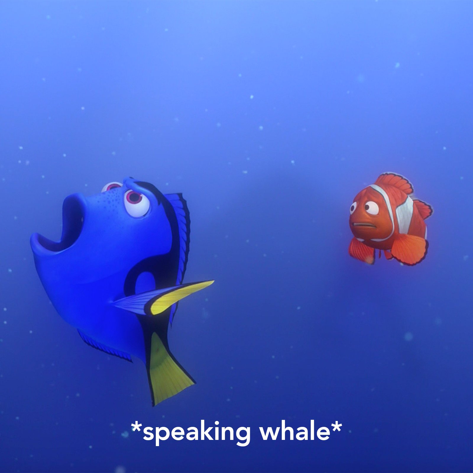 Finding Nemo Whale Talk