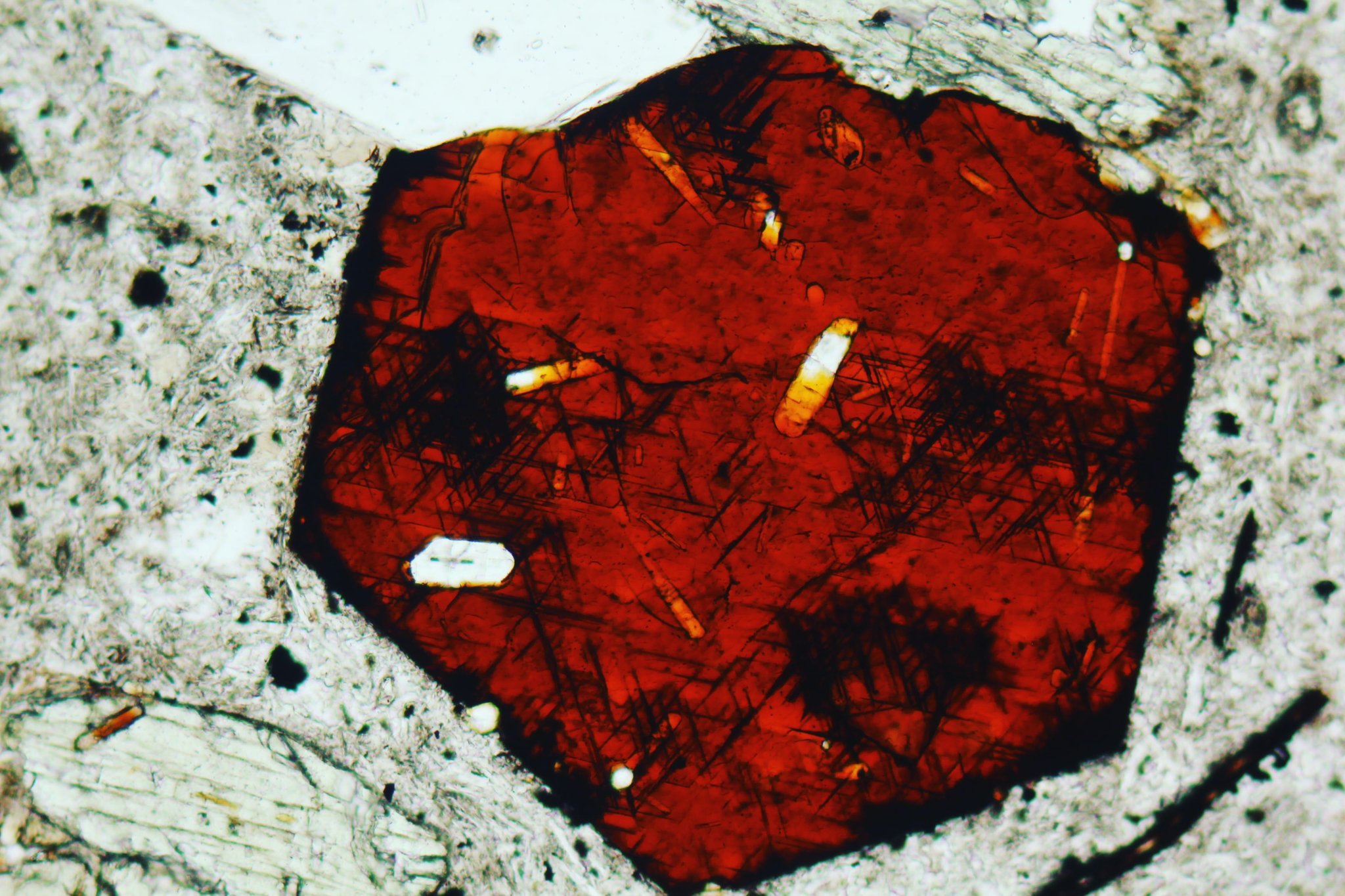 Hematite Thin Section