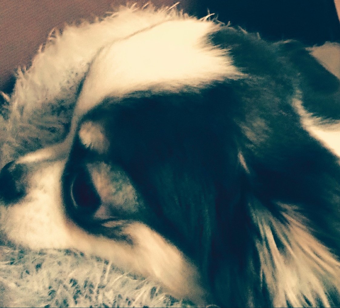 紗綾 on Twitter: "#Voicy 質問返し🌝🧡 撮影時のハプニングとは！？💦 https://t.co/5zcQdwpFij"