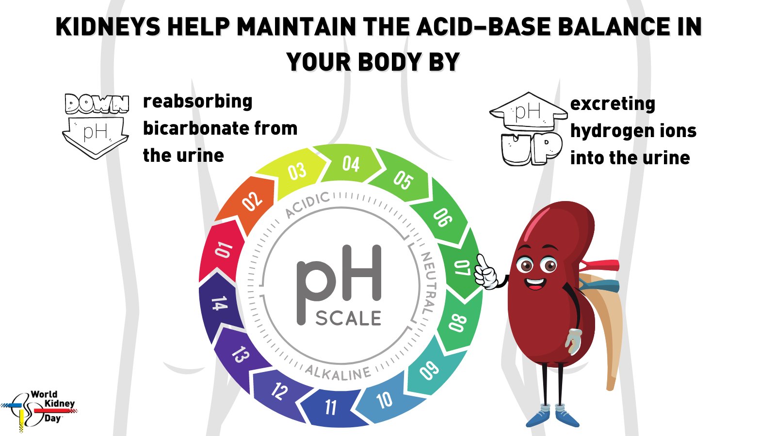 Ph Scale Foods