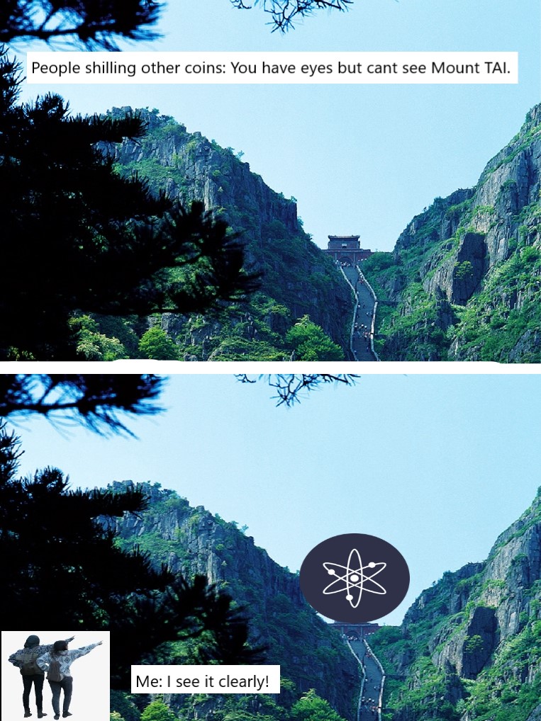 Mt Tai Memes Meanwhile On The North Mountain... "Tftfrs Er ...
