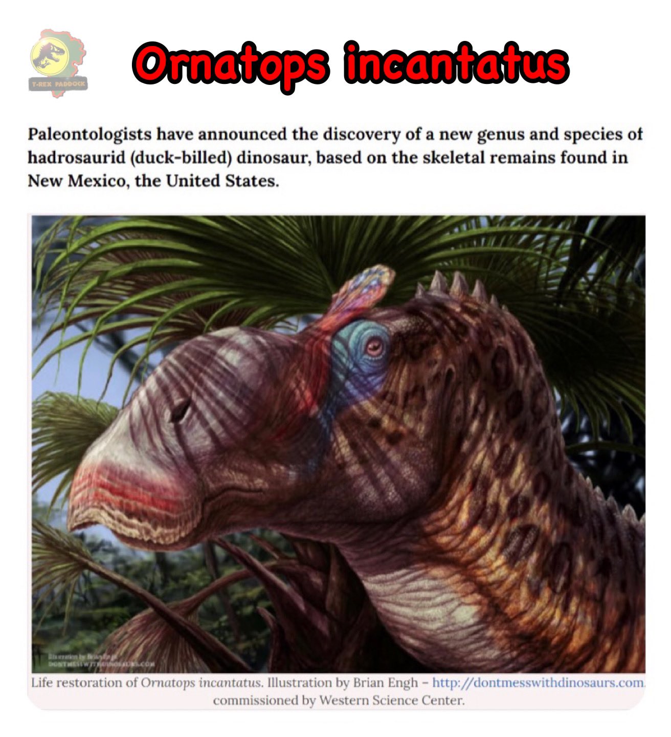 Hadrosaur