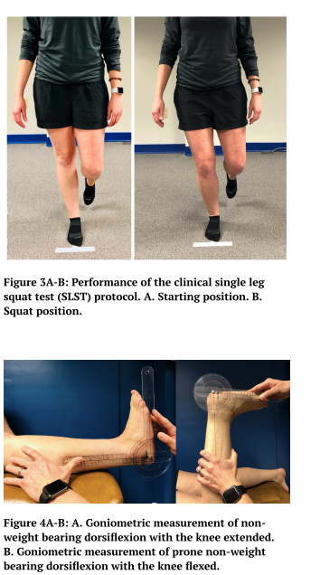 Single Leg Squat Assessment
