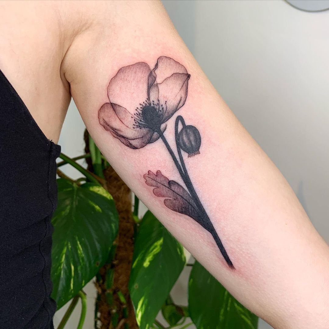 Black And Grey Poppy Tattoo