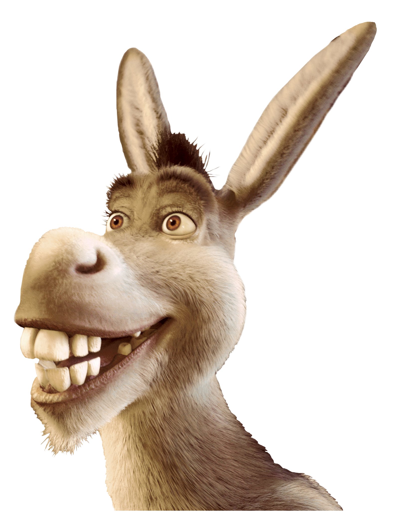 Donkey Teeth Shrek