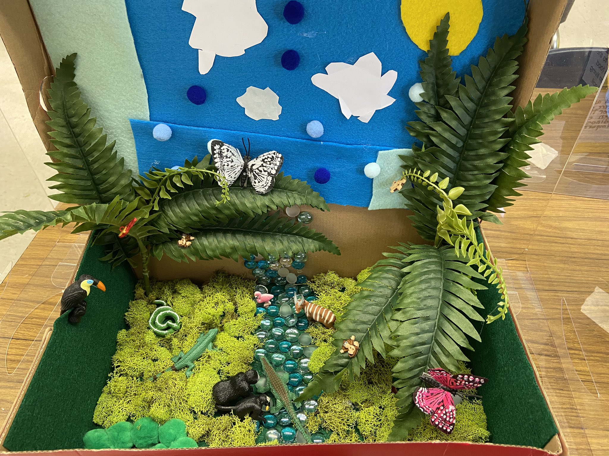 Ecosystem Diorama Ideas