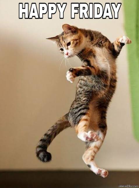 Happy Friday Dance Cat