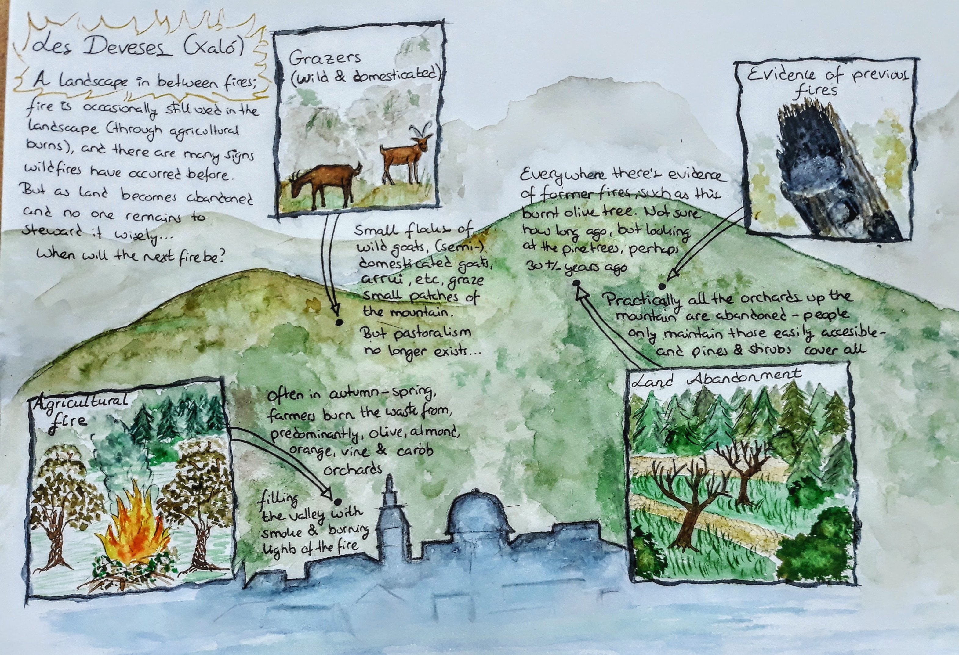 Tuck Everlasting Treegap Map