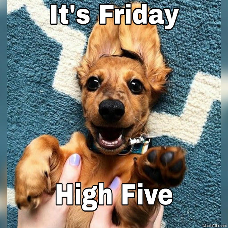 Finally Friday Dog