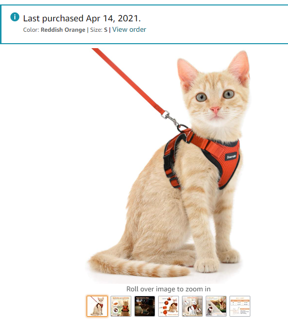 coolstar-on-twitter-can-t-wait-to-walk-my-cat-https-t-co-fdwyv5ovsg