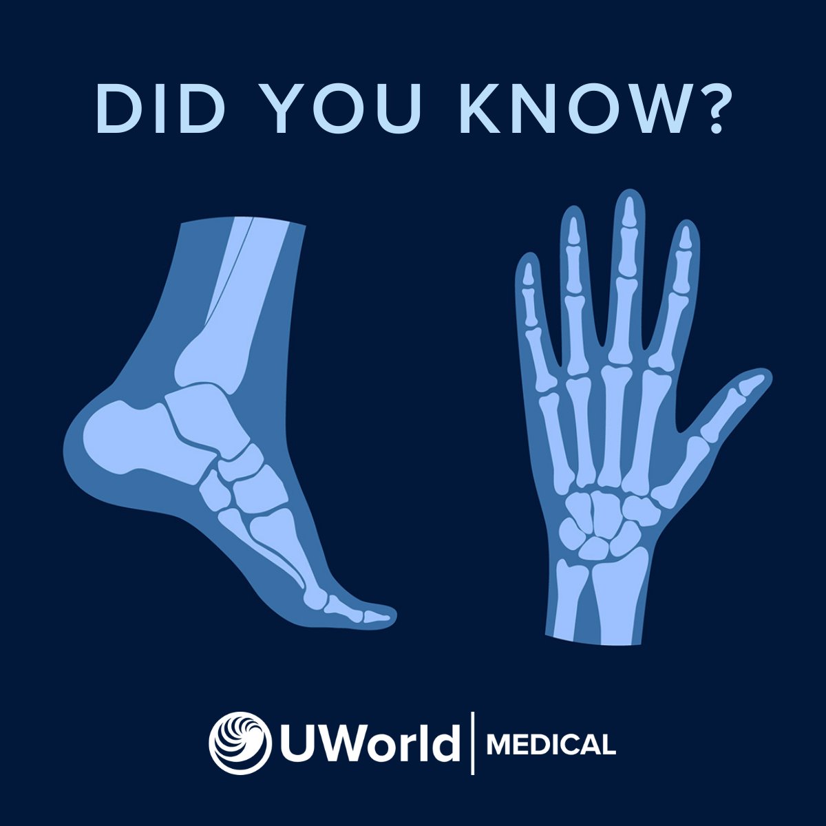 UWorld Medical on Twitter: "Did you know? More than half your bones are ...