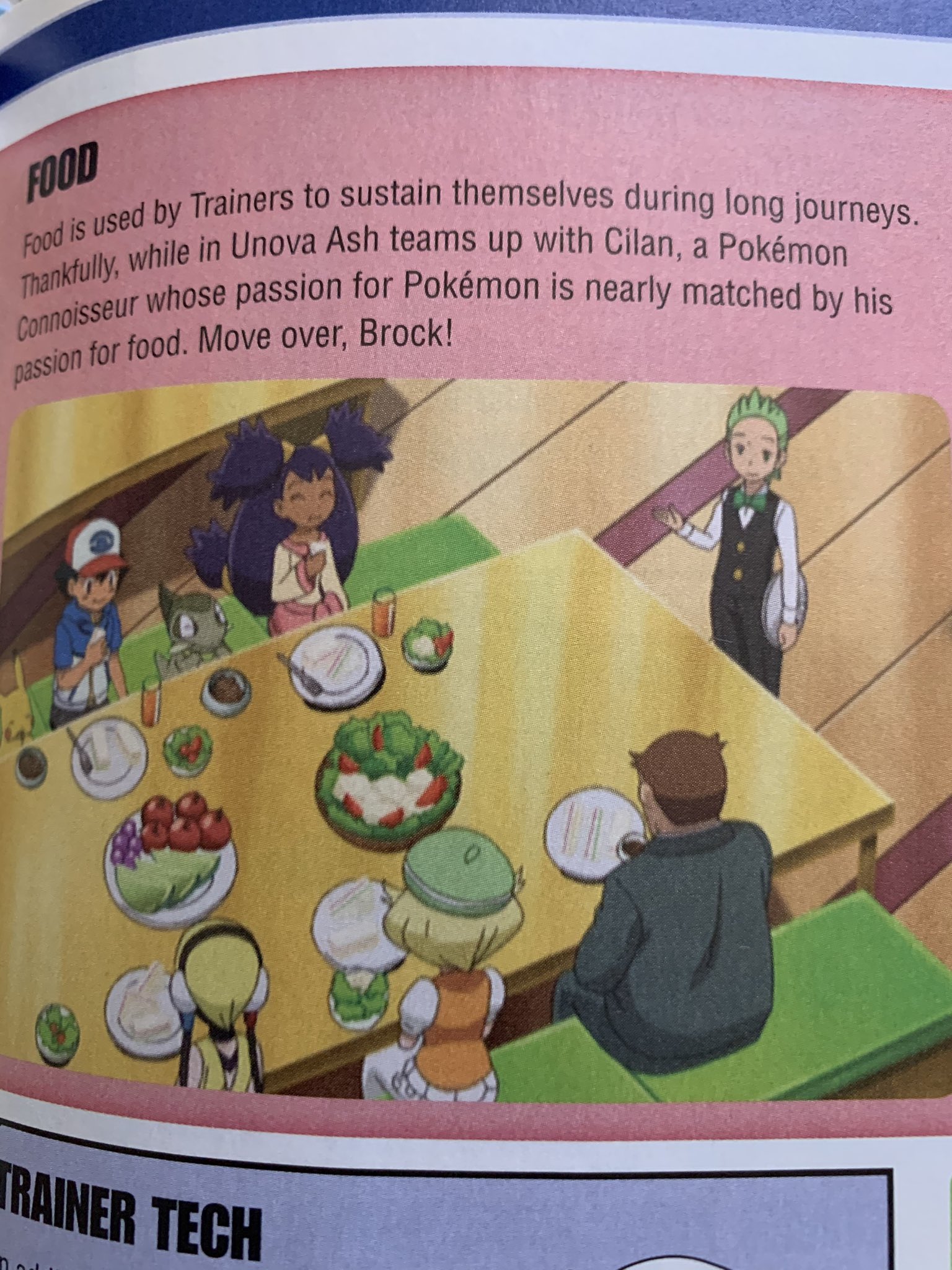 Pokemon Cilan And Brock