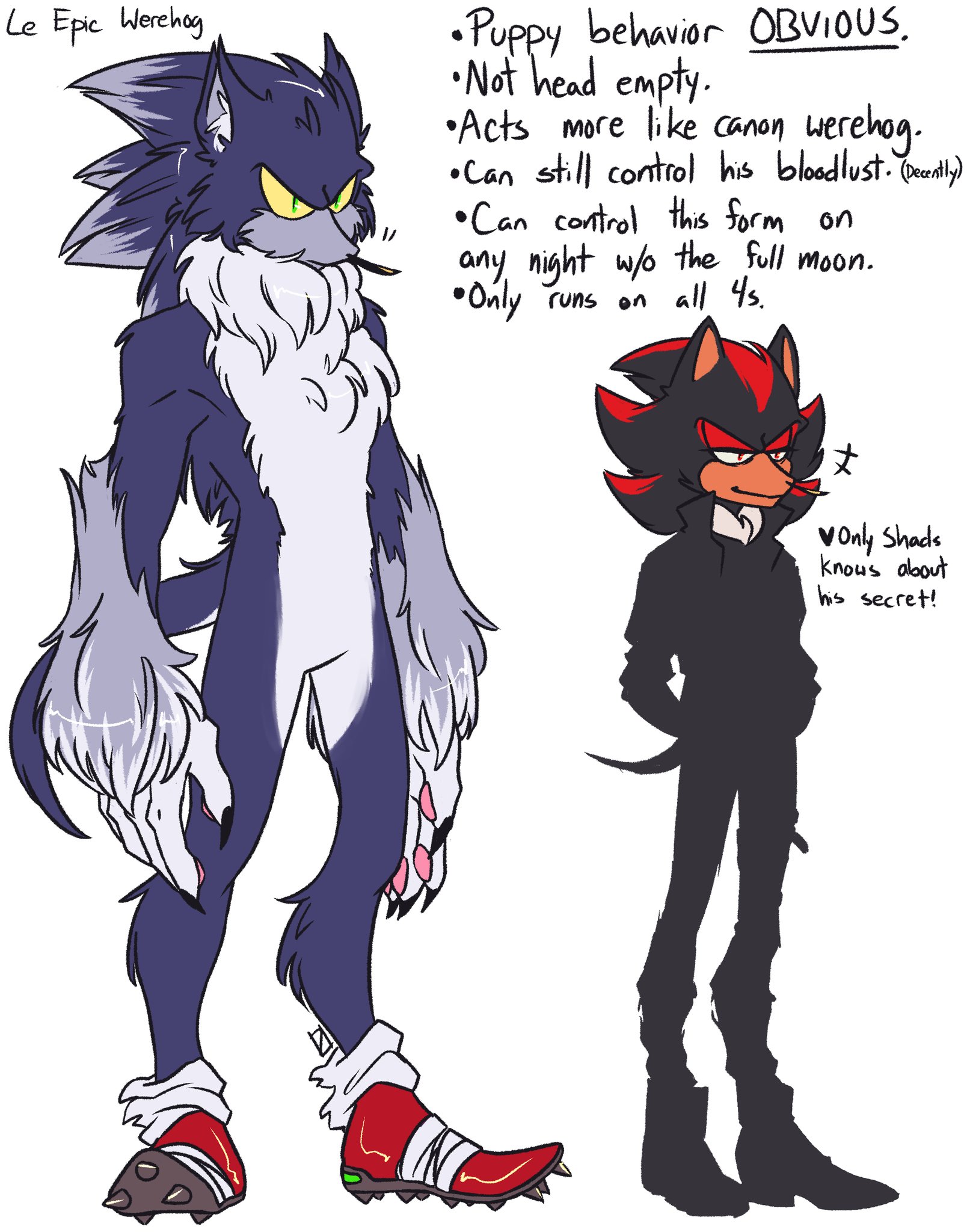 Sonic Shadow Werewolf