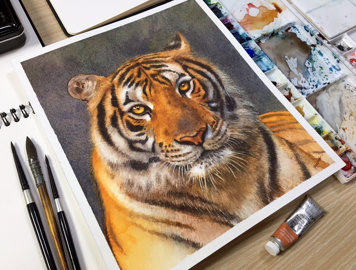Tiger Drawings In Color