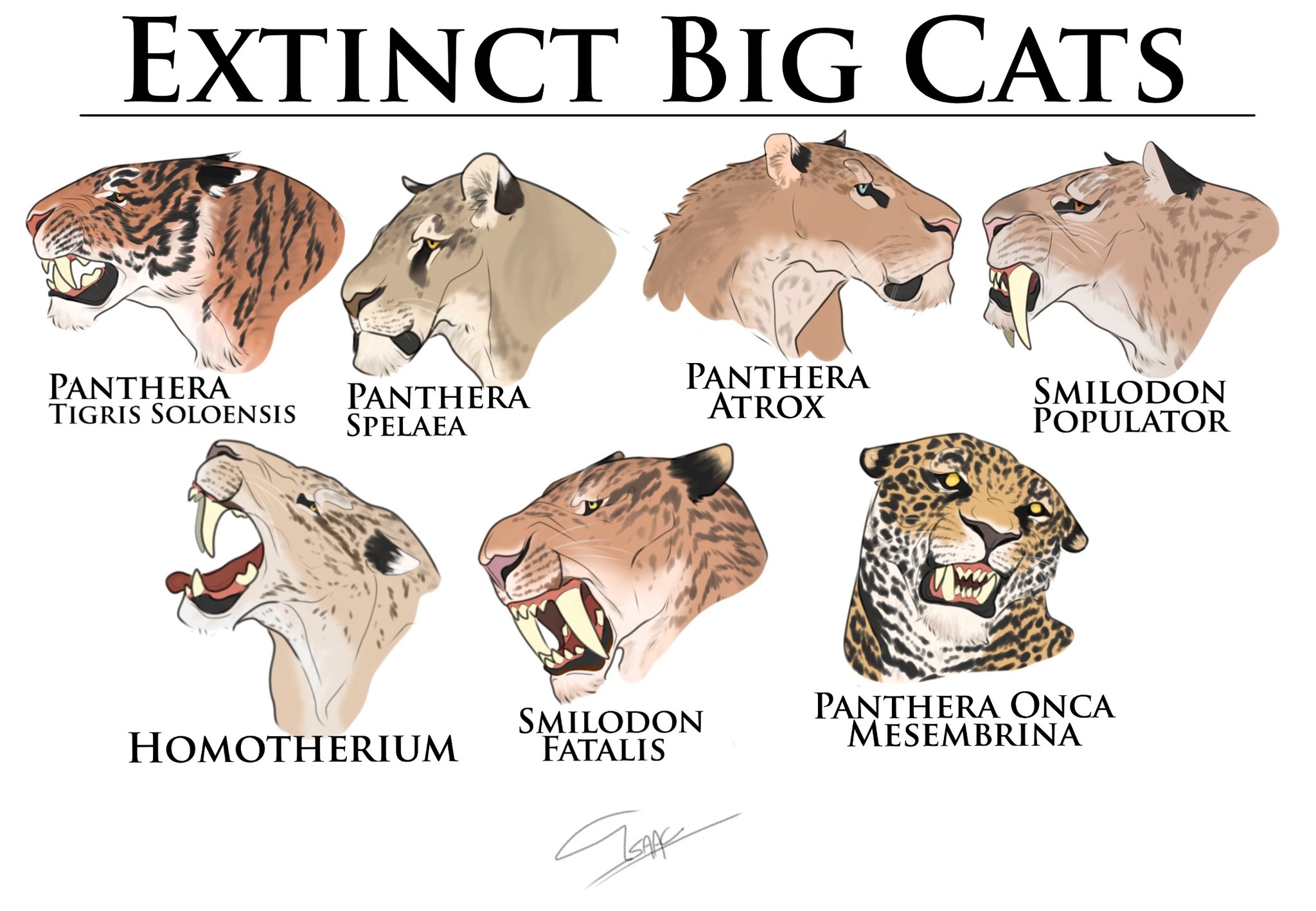 Extinct Cats