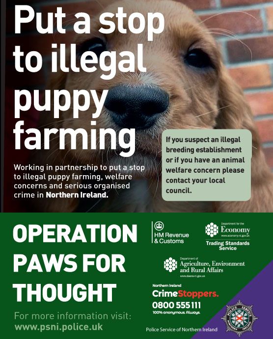 How Can We Stop Puppy Farms