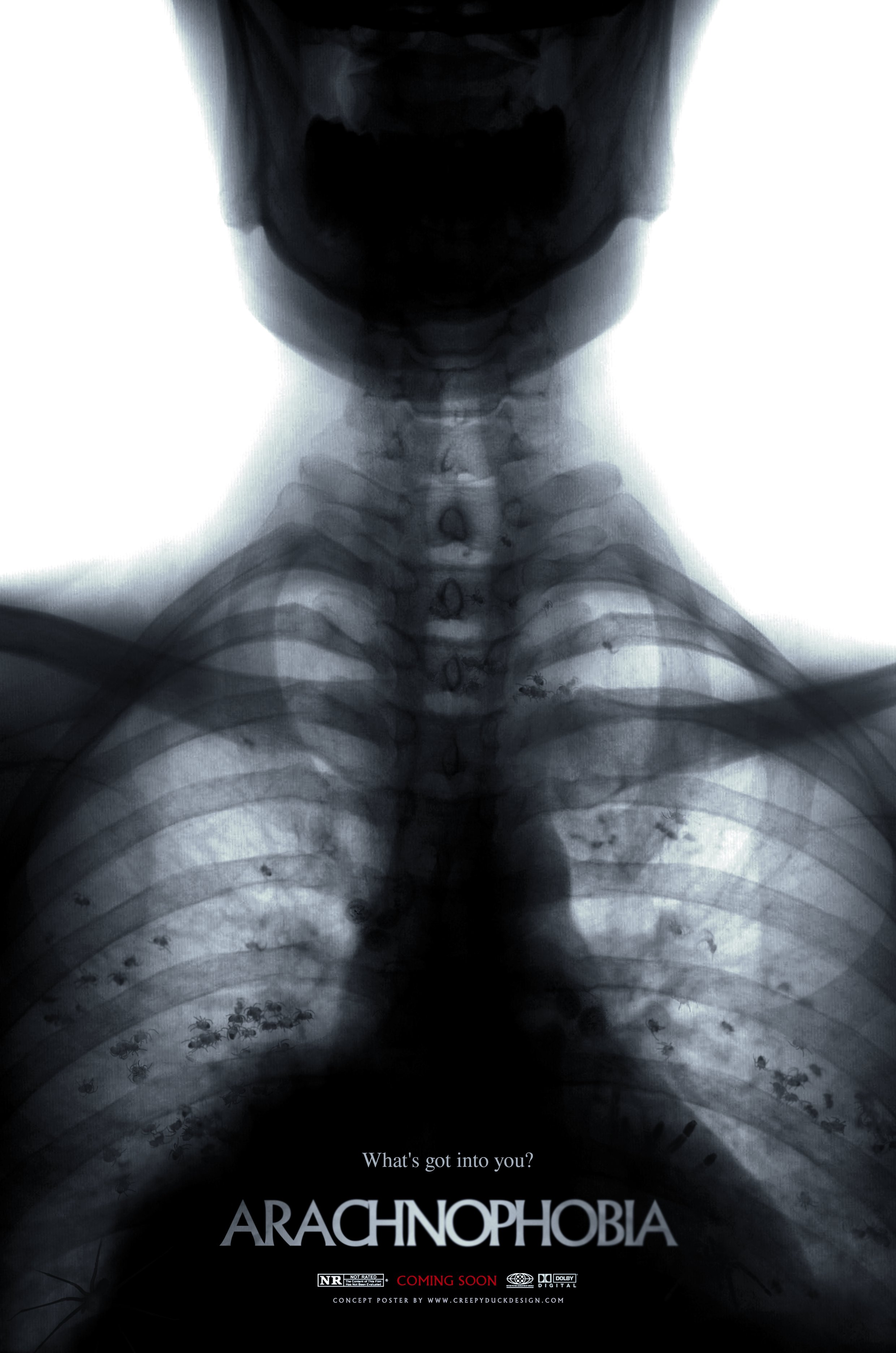 Arachnophobia Poster