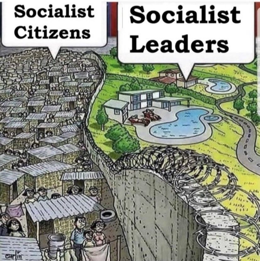 Capitalism Vs Socialism Cartoon