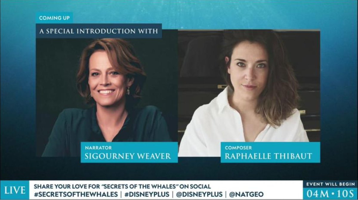 Florian Maganza (@FlorianMaganza) | Twitter