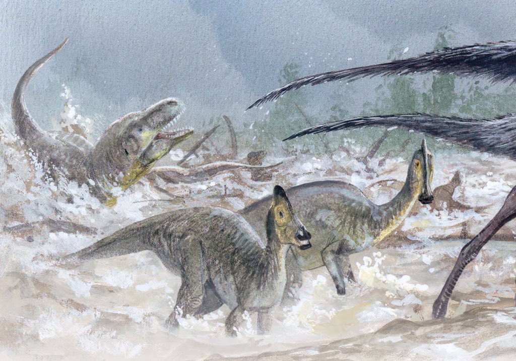 Tangmo Mopet on Twitter: "If i remember Don lessem also work with Hall Train on Tyrannosaurus ...