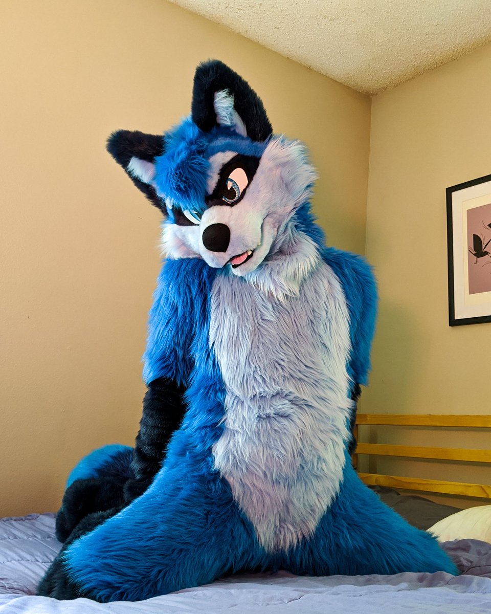 Duino D. Duck on Twitter: