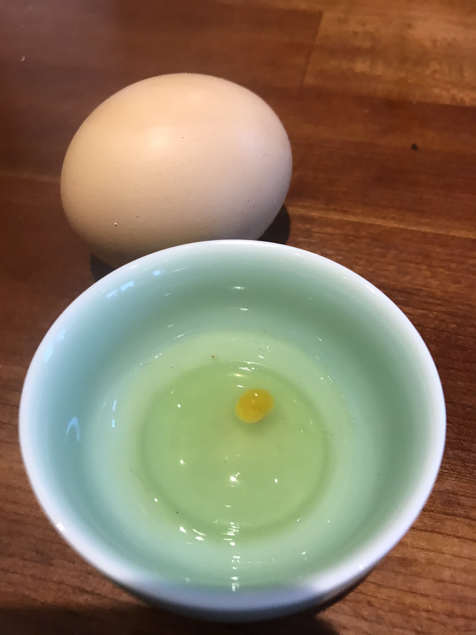 Smallest Chicken Egg In The World