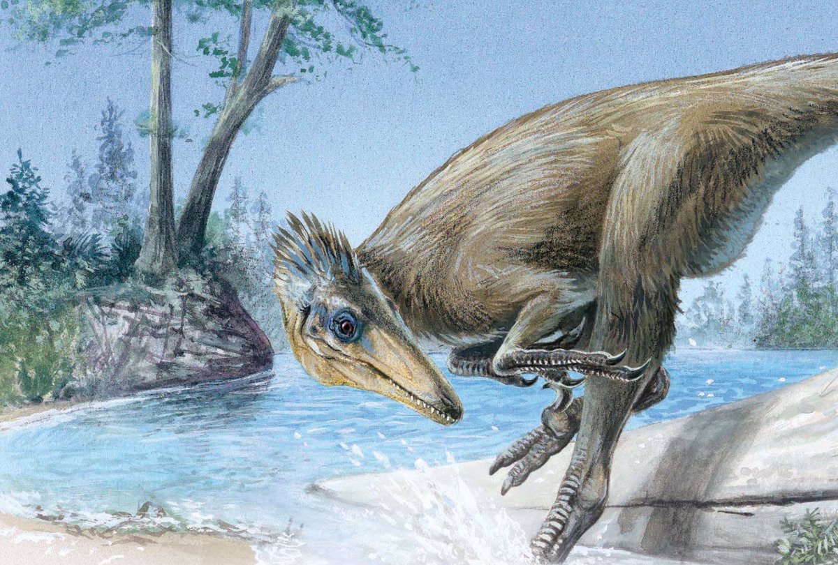 Tangmo Mopet on Twitter: "If i remember Don lessem also work with Hall Train on Tyrannosaurus ...