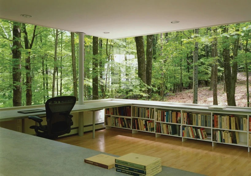 Dream Library Room