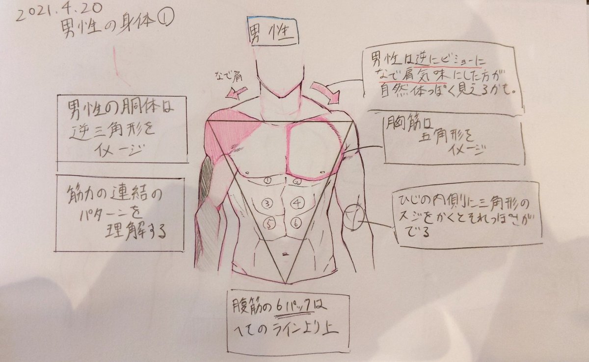 吉村拓也【イラスト講座】 On Twitter Rt Yukanagi76 吉村拓也先生のfunboxより。今日は男性の身体模写