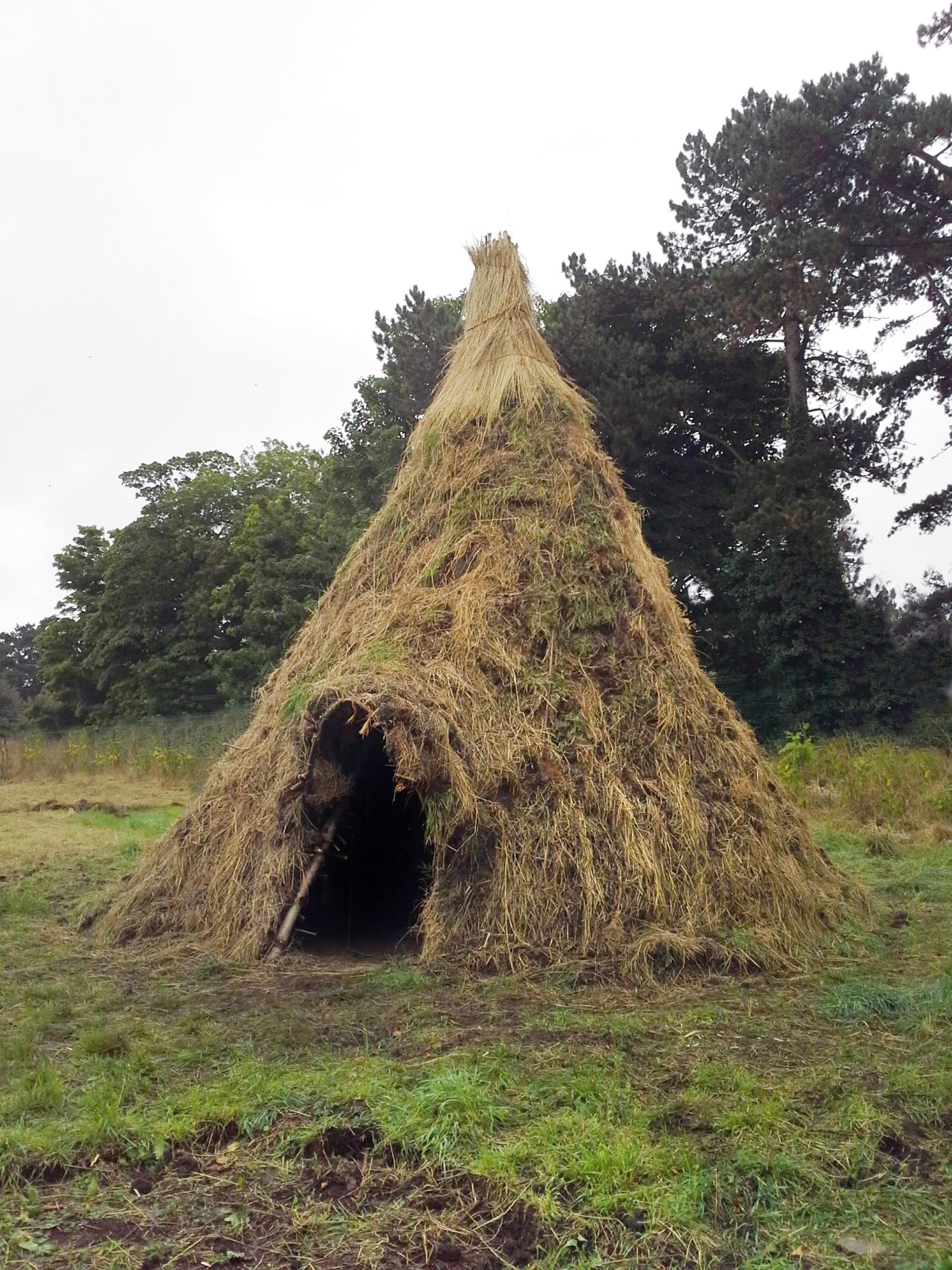 Mesolithic Age Houses