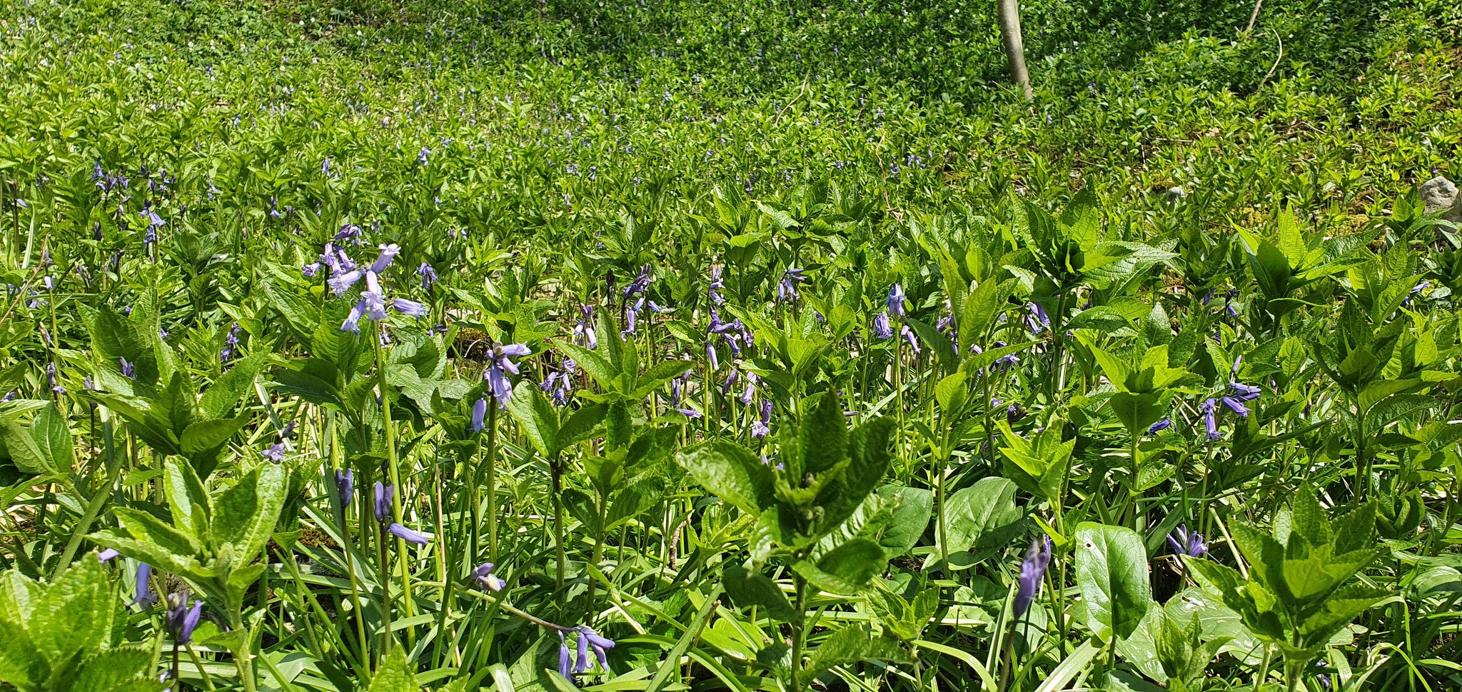 PSO Robbie Kirkbride on Twitter: "The light at the end of the tunnel is getting brighter☀️ ...