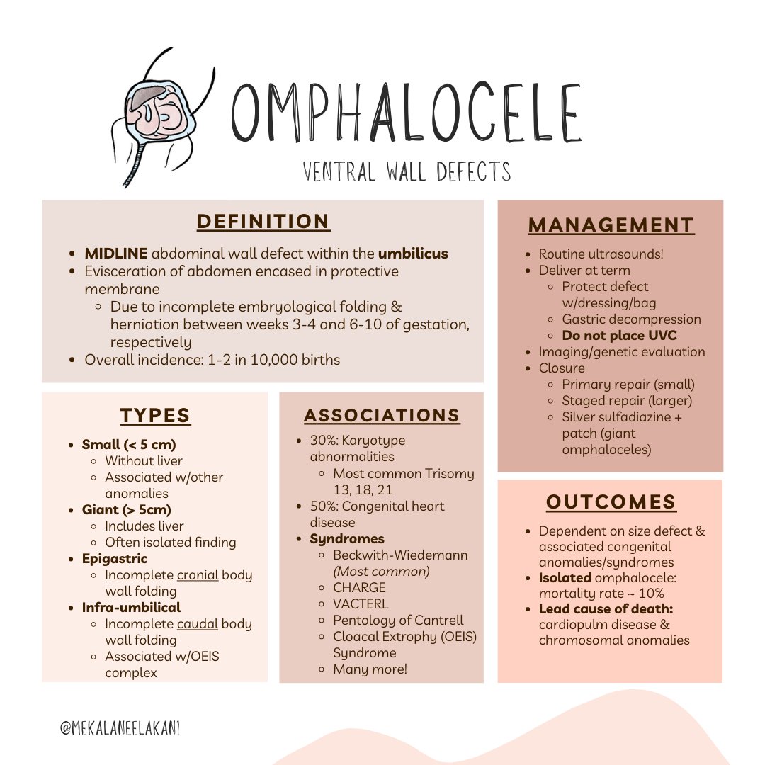 Infographic Definition Of Respective