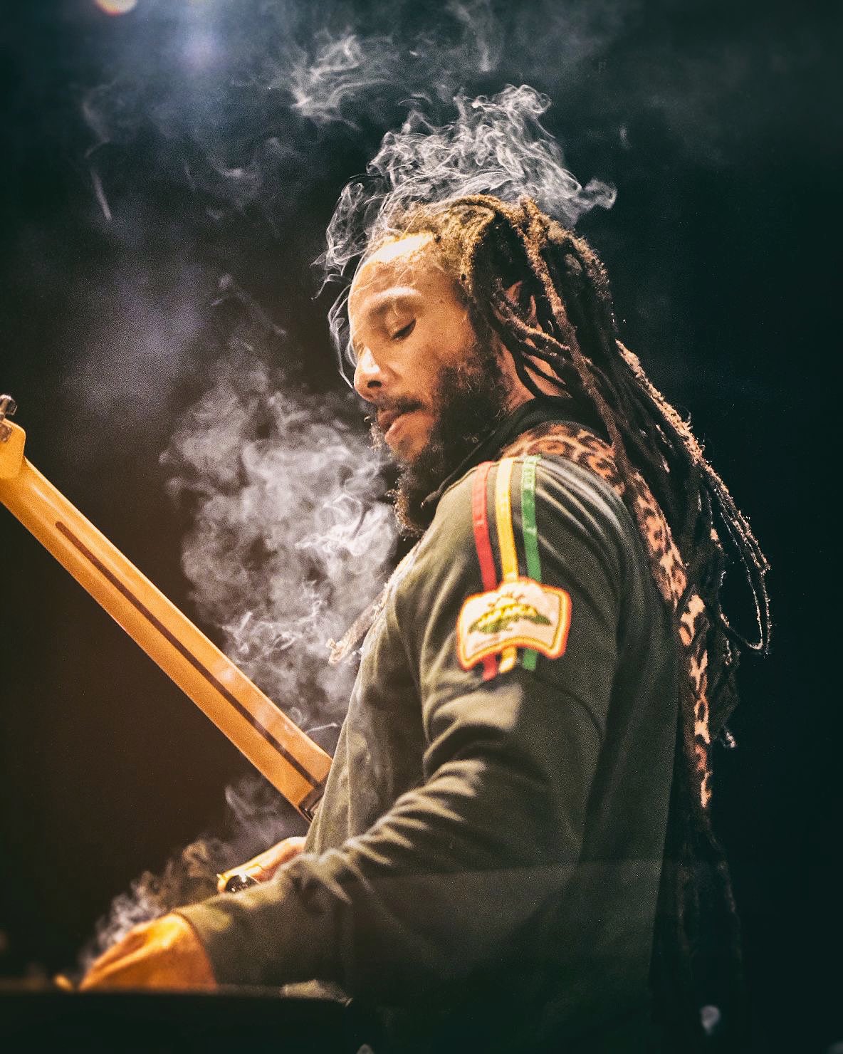 Ziggy Marley Dreadlocks